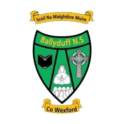 Ballyduff NS Students – PLAYR-FIT Teamwear